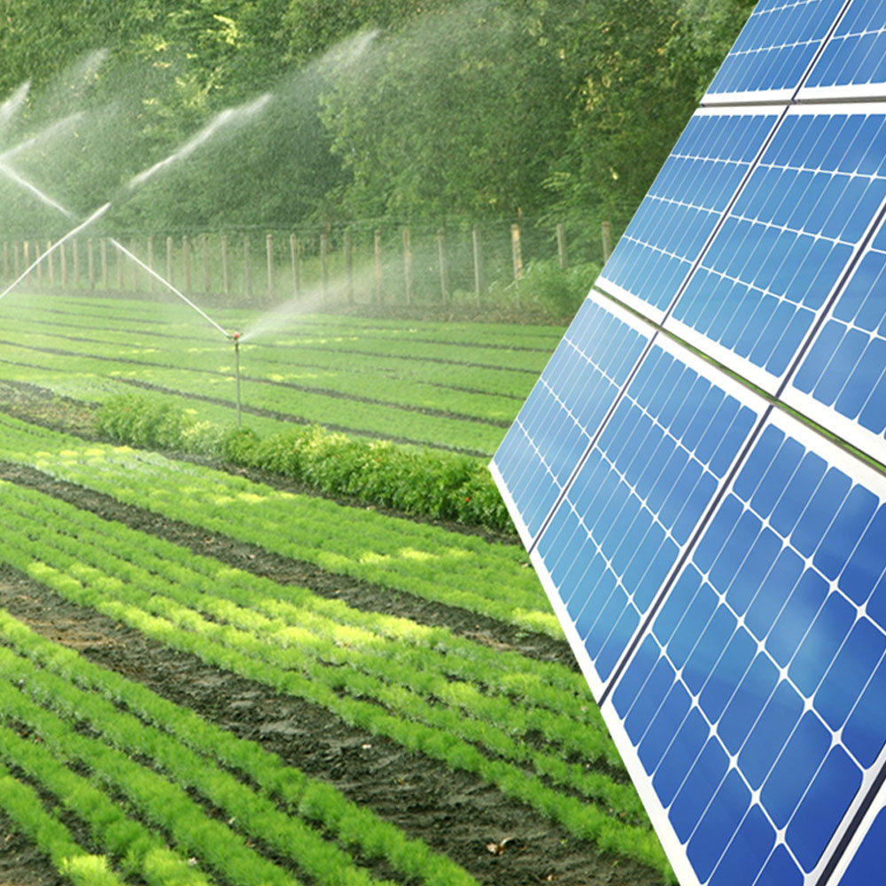 Solar Water Pumps: Harnessing the Sun for Efficient Water Solutions